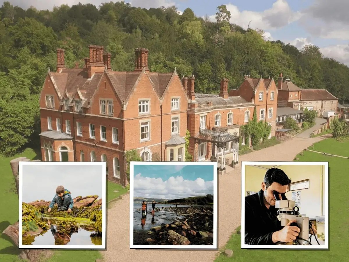 Juniper Hall Field Centre Physical Geography School Trip